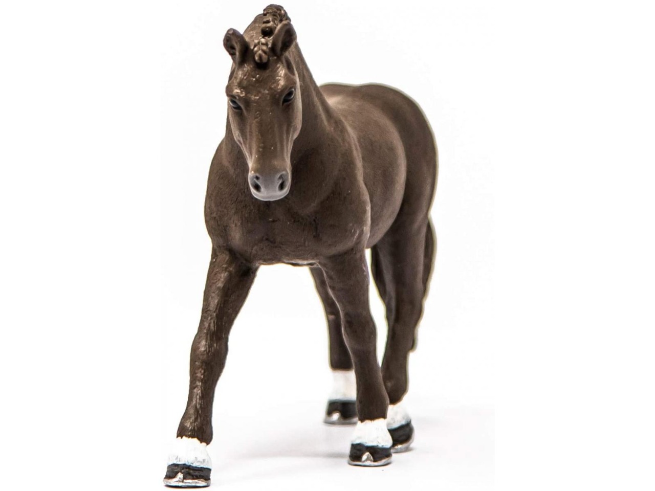 Poney de selle allemand Hongre - Augrenierdepinocchio Poney de selle allemand Hongre - Augrenierdepinocchio